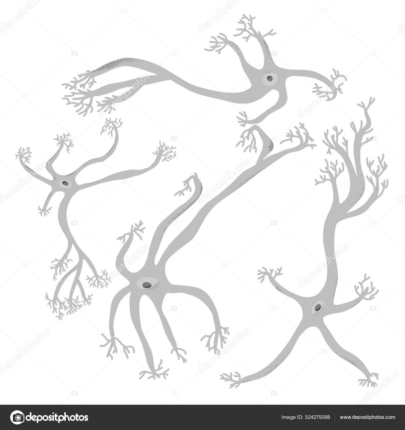 Neuron cells. Vector simple design illustartion. Stock Vector by ...