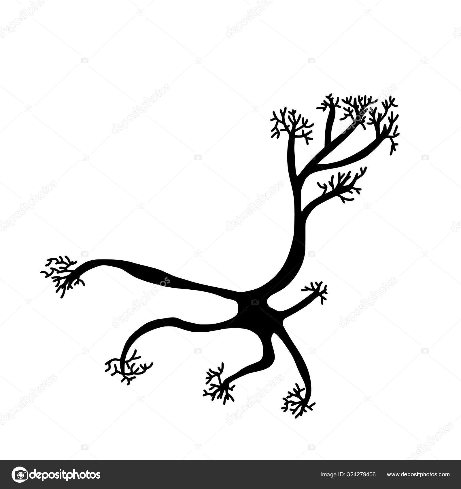 Neuron cells. Vector simple design illustartion. Stock Vector Image by ...