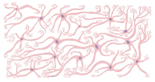 19 Neurocyte Vector Images | Depositphotos