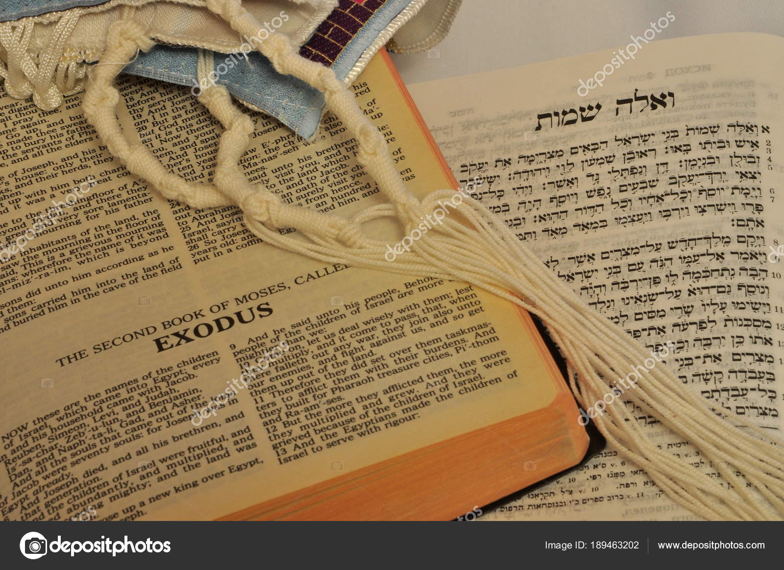 Book Of Moses Exodus