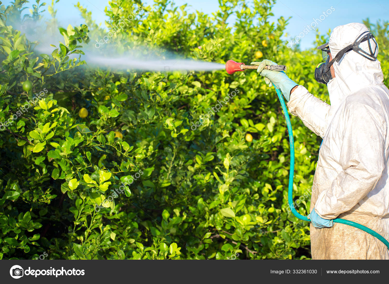Farmer Spraying Insecticides