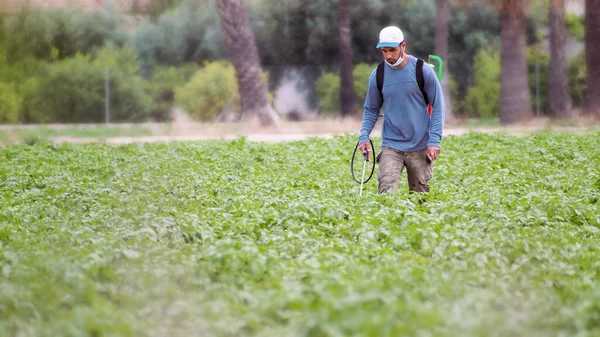 Farmer Man Spraying Fumigating Pesti Pest Control Weed Insecticide