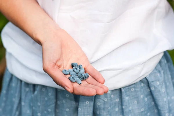 Ovoshchi Stock Photos, Royalty Free Ovoshchi Images | Depositphotos