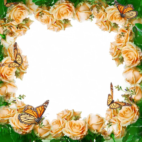 Frame with roses and butterflies Stock Photo by ©seqoya 127872398