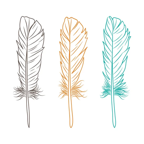 Ilustrasi bulu Vector Art Stock Images | Depositphotos