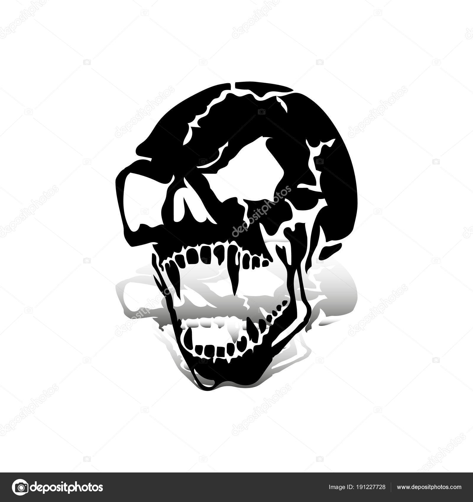 Aggressive skull with open jaw, black silhouette with shadow on — Stock ...