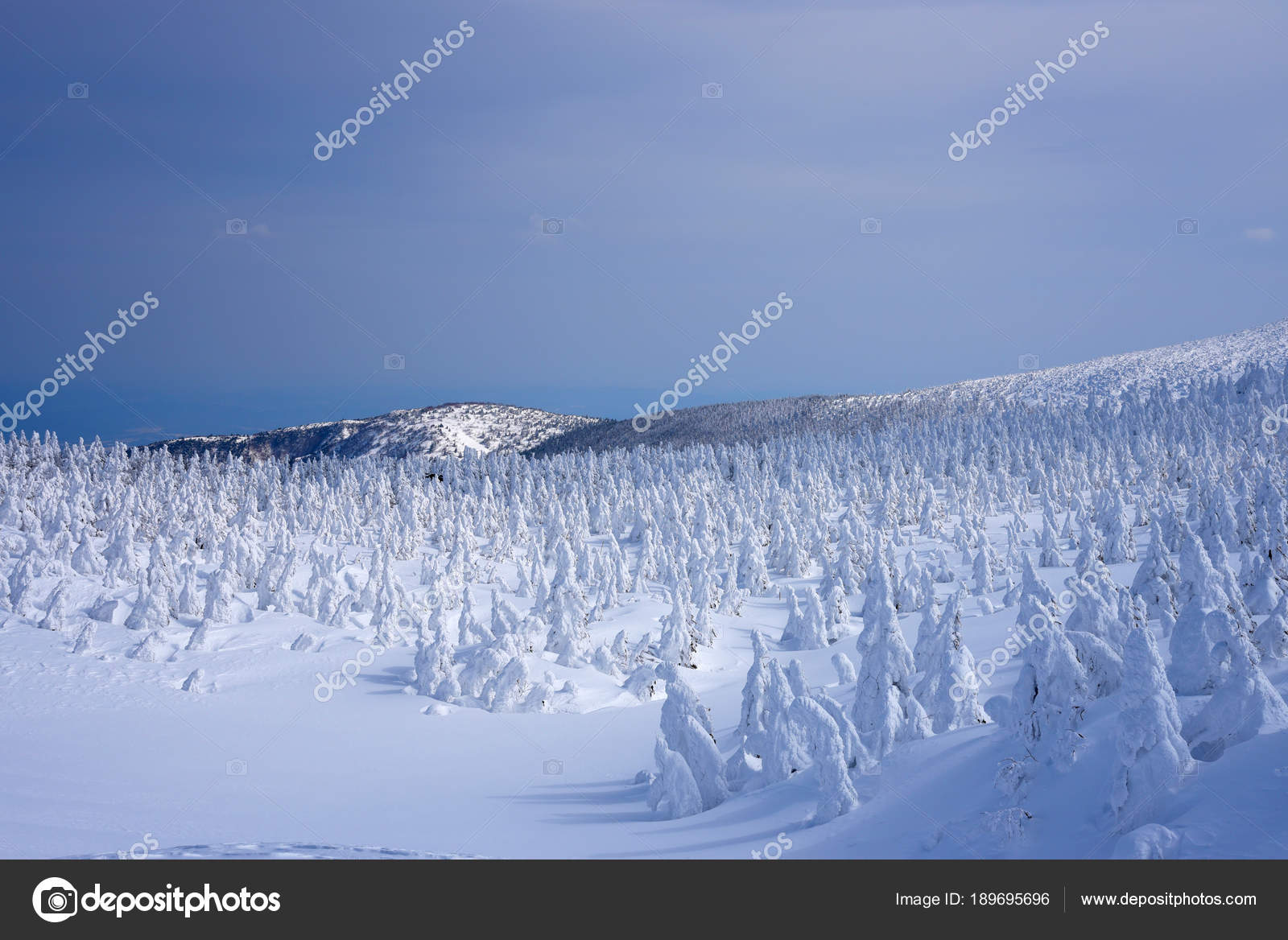 Monstros Neve Monte Zao Yamagata Japão Zao Uma Das Maiores fotos ...