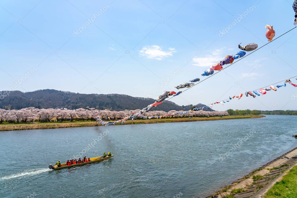 Kitakami, Prefectura de Iwate, Japón - 23 de abril de 2019: Tenshochi ...