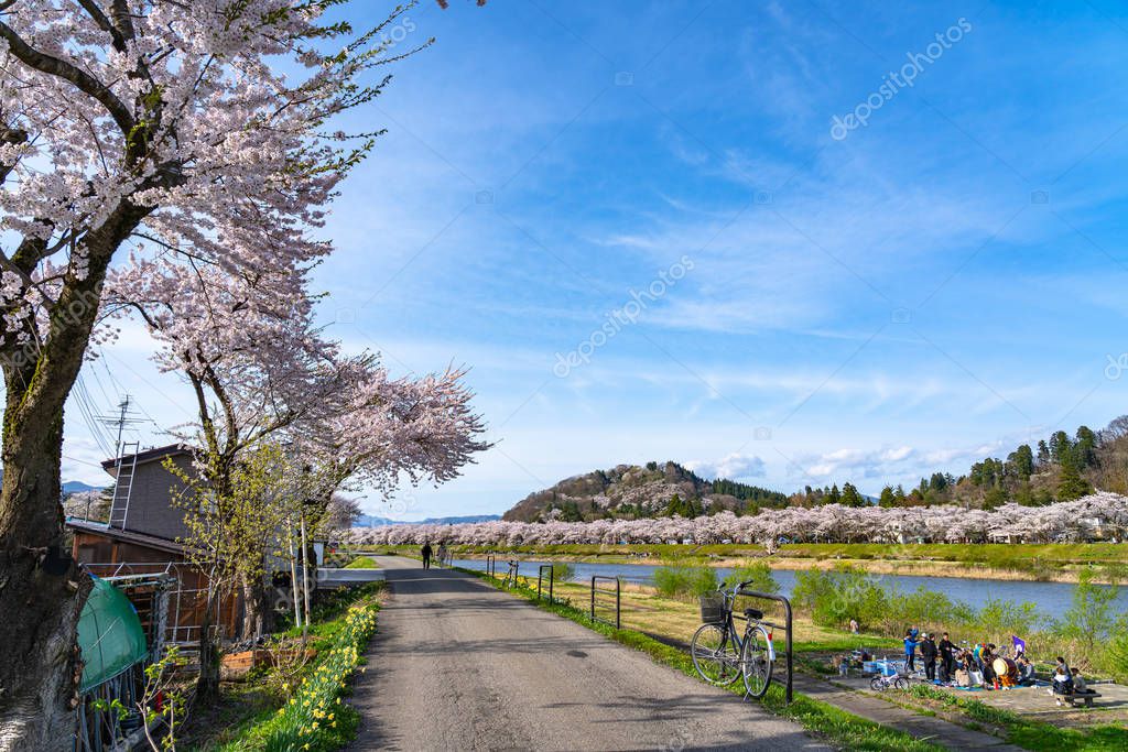 Kakunodate Town, Prefectura de Akita, Japón - 28 de abril de 2019 ...