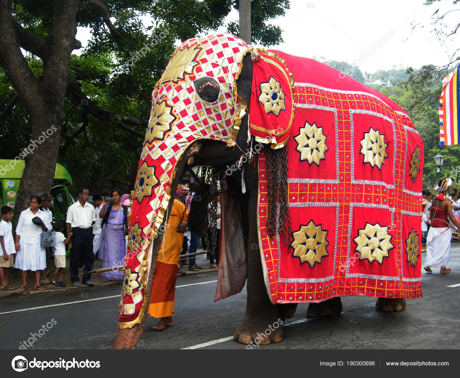 Sri Lankan Elephant Parade