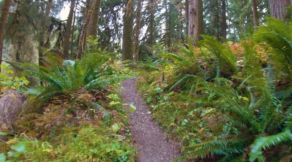 Trilho do rio lewis Φωτογραφίες Αρχείου, Royalty Free Trilho do rio ...