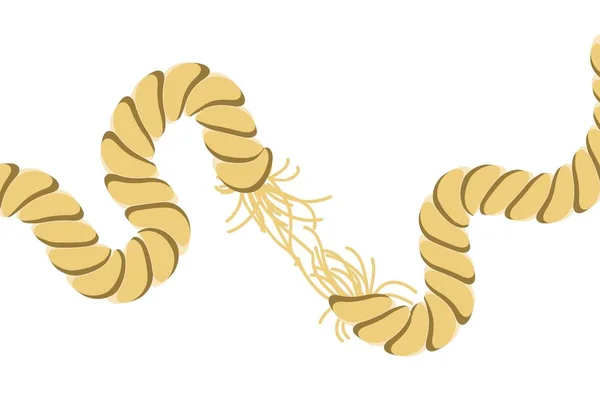 15,785,881 Rope breaking Vector Images | Depositphotos