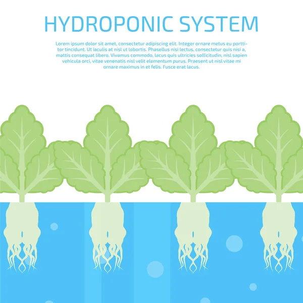 Hydroponic Vector Images, Royalty-free Hydroponic Vectors | Depositphotos®