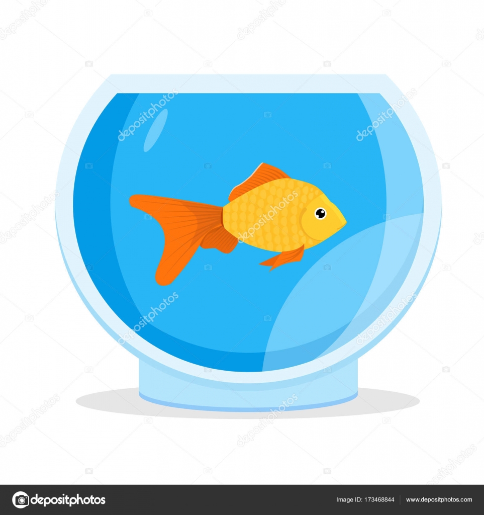 Aquarium Goldfish icon Stock Vector Image by ©AnSim #173468844