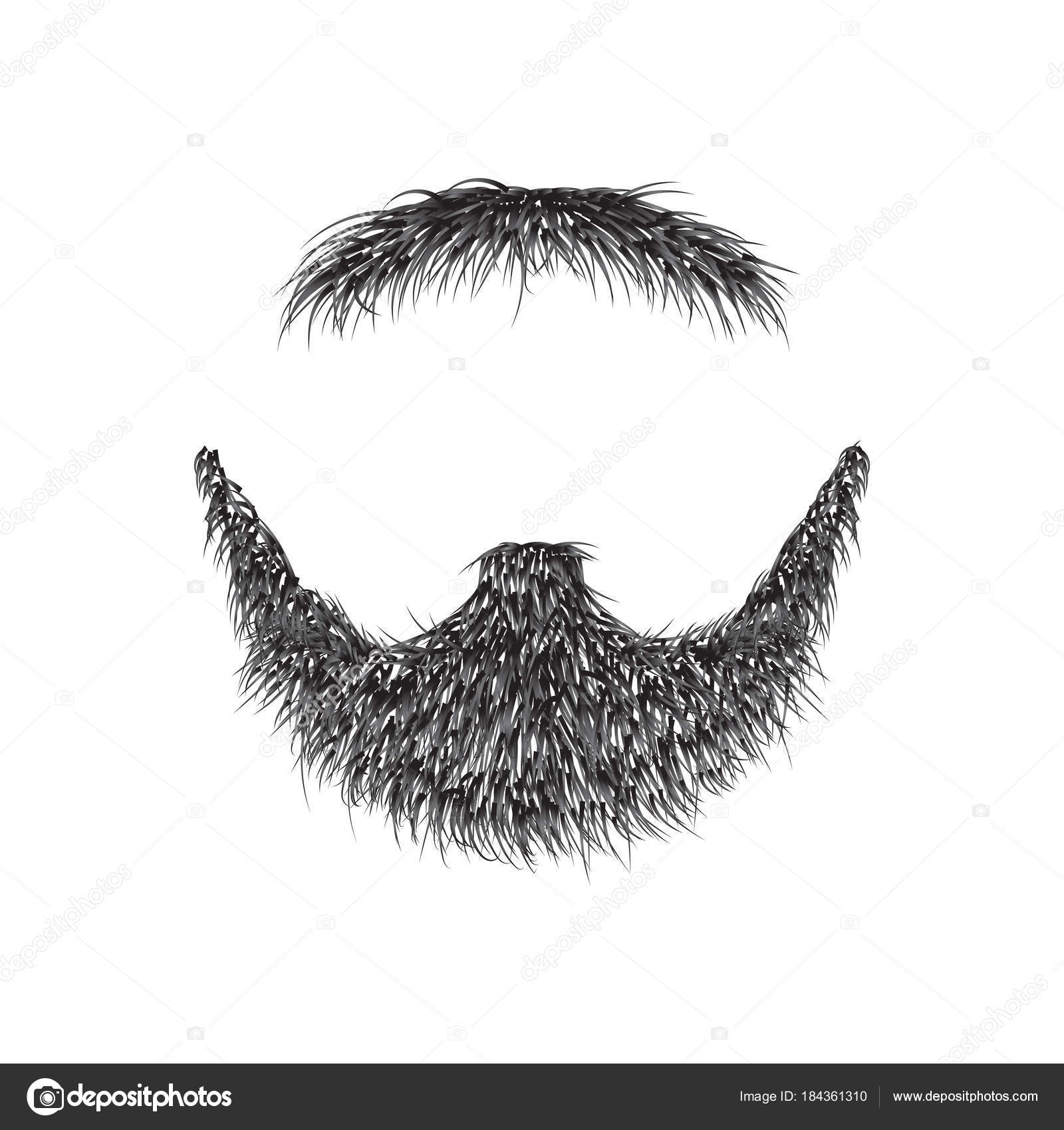 Realistic Beard Isolated White Background Vector Illustration Stock ...