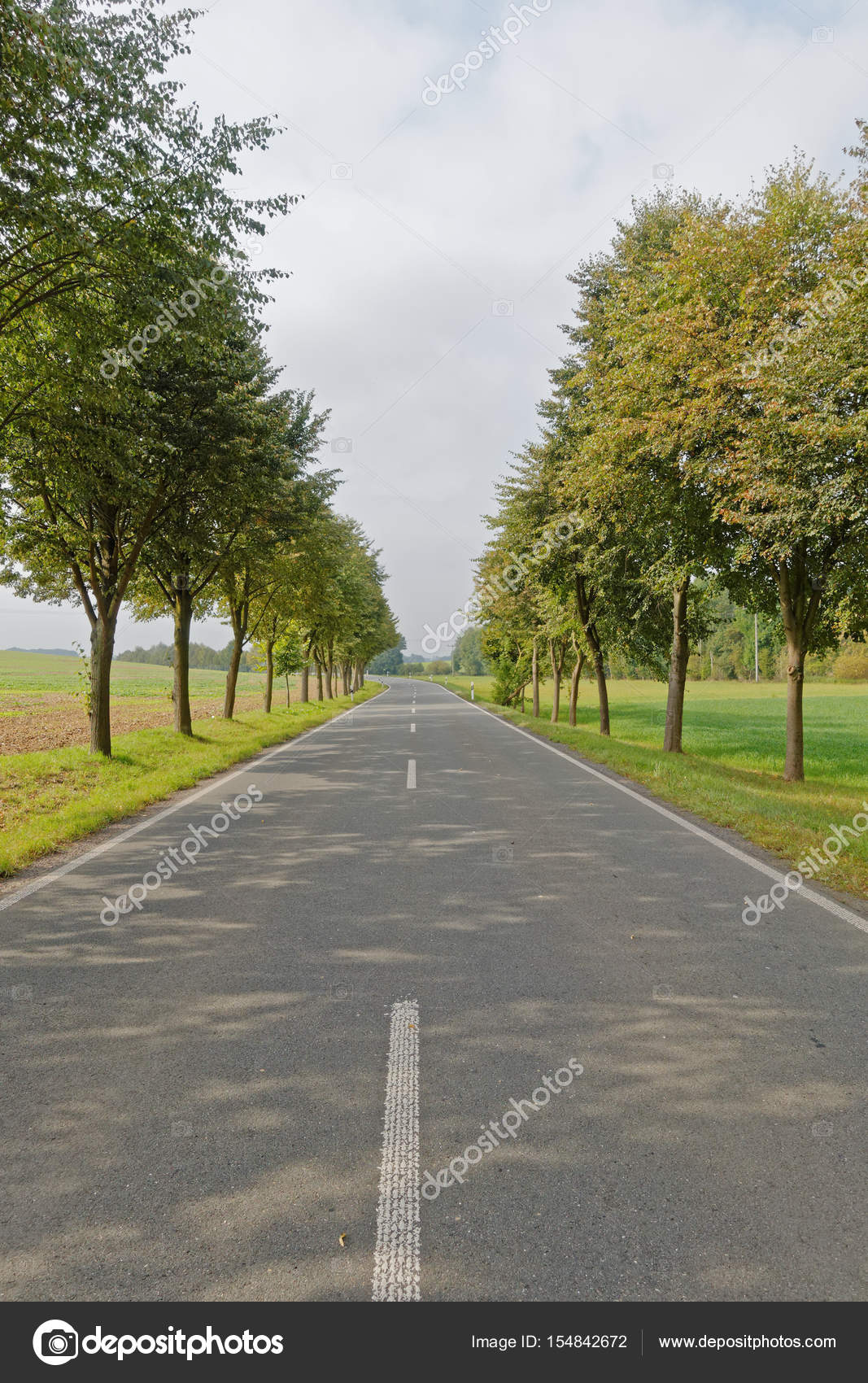 Road with trees in the countryside ⬇ Stock Photo, Image by © DimitriosP ...