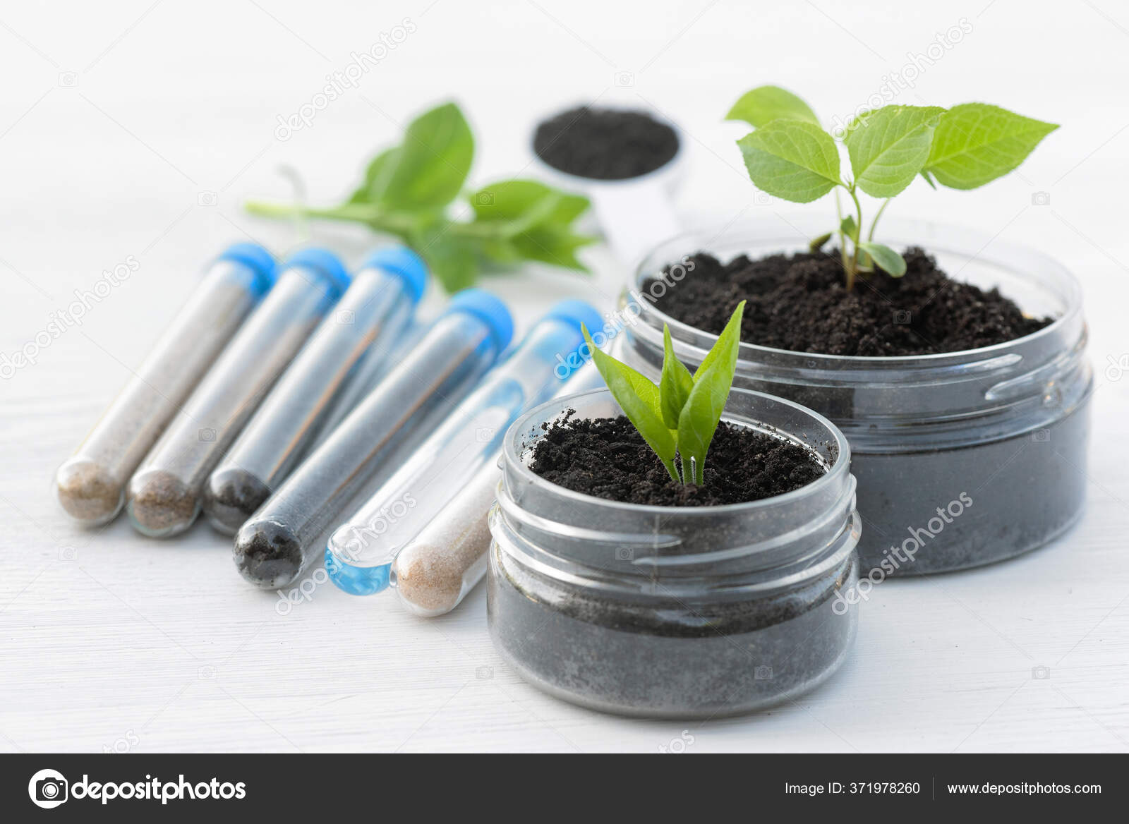 Samples Different Types Soil Test Tube Green Plants Jar Table Stock ...