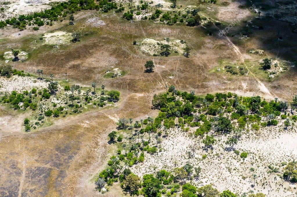 hermosa vista aérea del delta del Okavango (prado del Okavango), una de ...