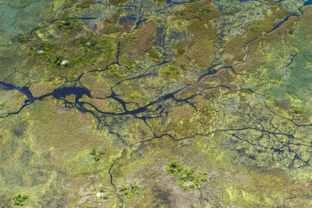 Vista panor mica a rea del delta del Okavango (prado del Okavango), una ...