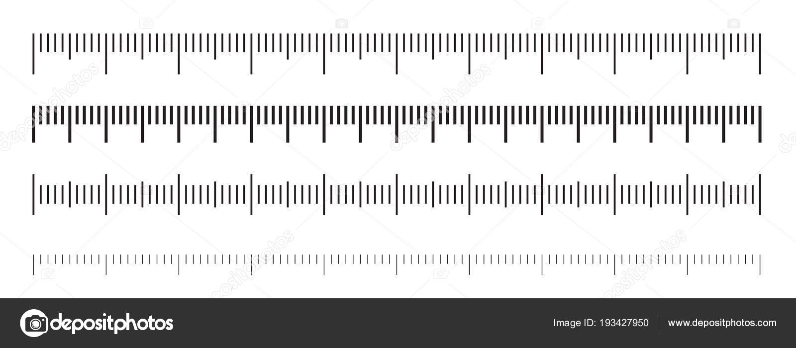 Ruler scale measure vector measurement scale — Stock Vector © avector ...