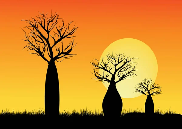 Boab tree with moon background and birds Stock Vector Image by ©ekays ...