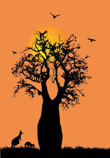 Boab tree Vector Art Stock Images | Depositphotos