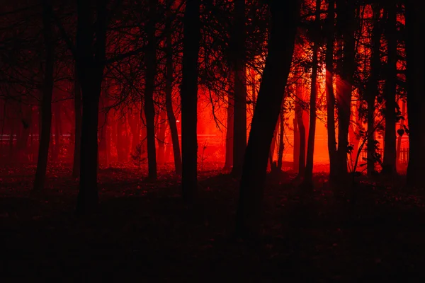 Creepy Red Forest Wallpaper