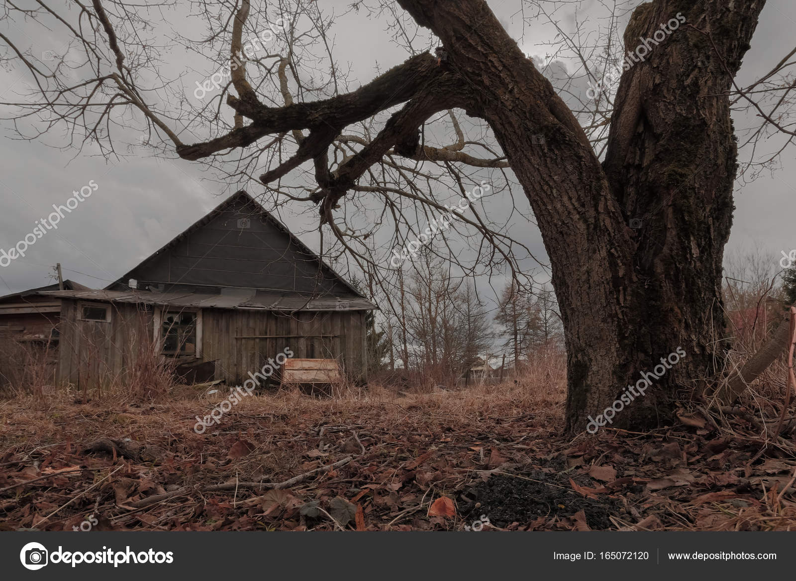 Old terrible house near a big tree — Stock Photo © PavelTalashov #165072120