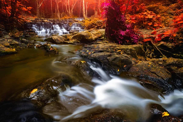 Wild nature Stock Photos, Royalty Free Wild nature Images | Depositphotos