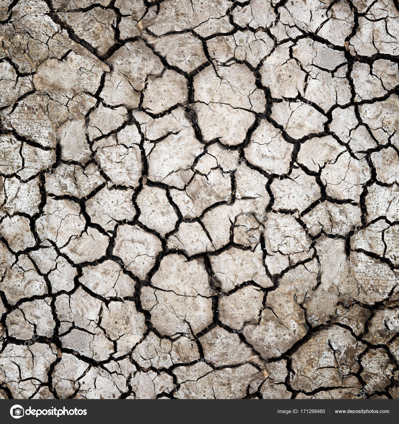 Cracked ground texture Stock Photo by ©pat138241 171298460