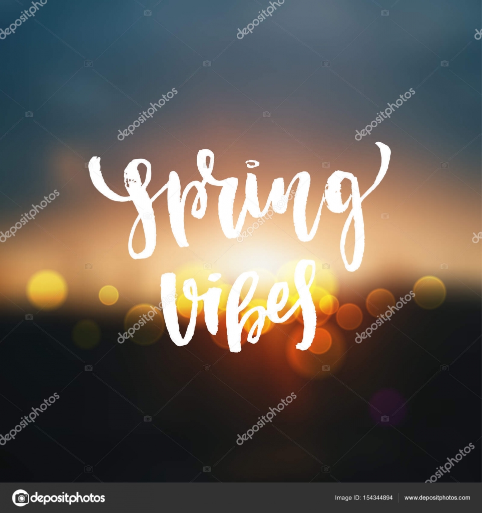 Spring vibes lettering — Stock Vector © wywenka #154344894