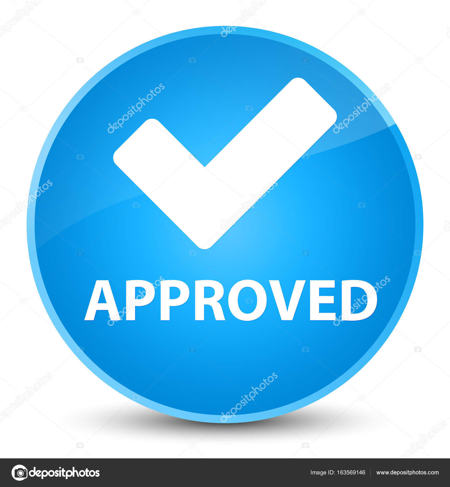 Approve Button Icon