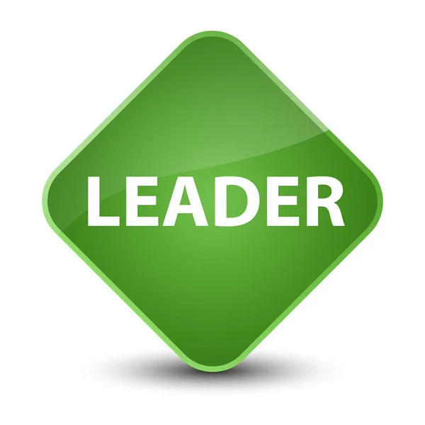 Leader skill Stock Photos, Royalty Free Leader skill Images | Depositphotos