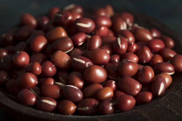 Raw Organic Red Adzuki Beans Stock Photo by ©bhofack2 127342892