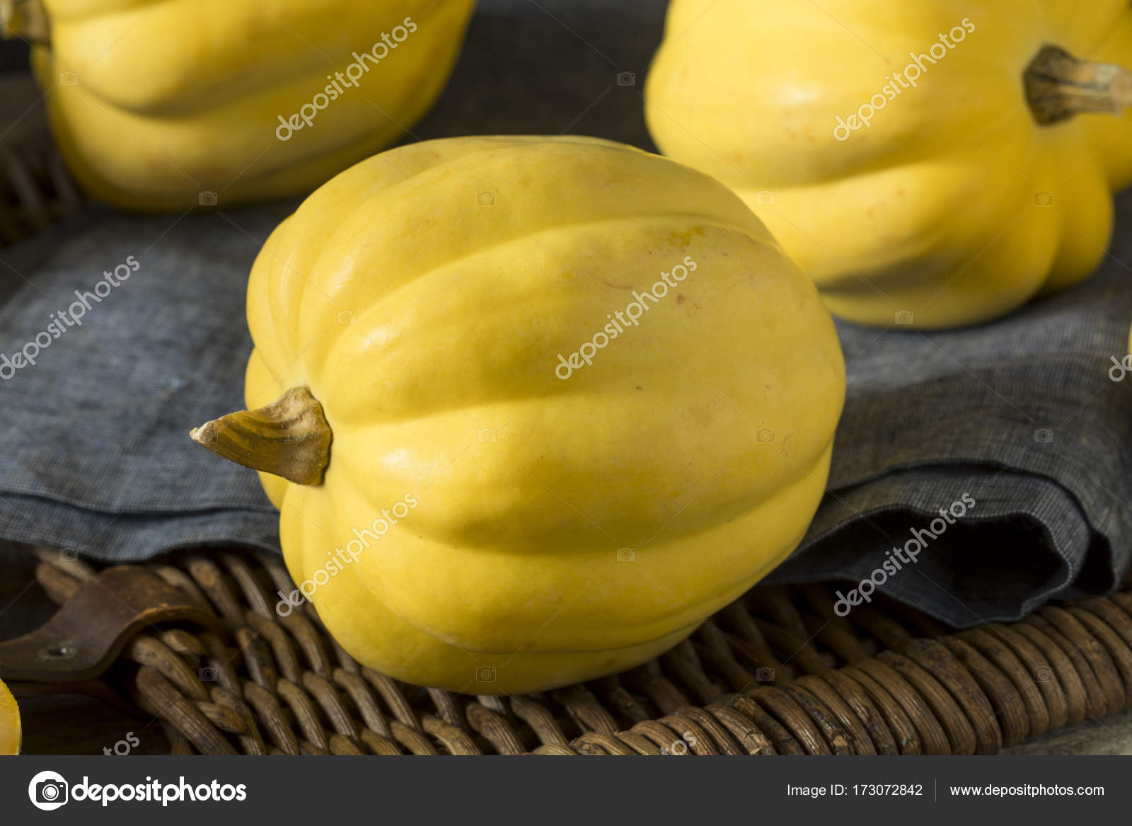 Yellow Winter Squash