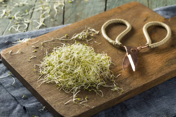 Raw Green Organic Alfalfa Sprouts Stock Photo by ©bhofack2 179589618