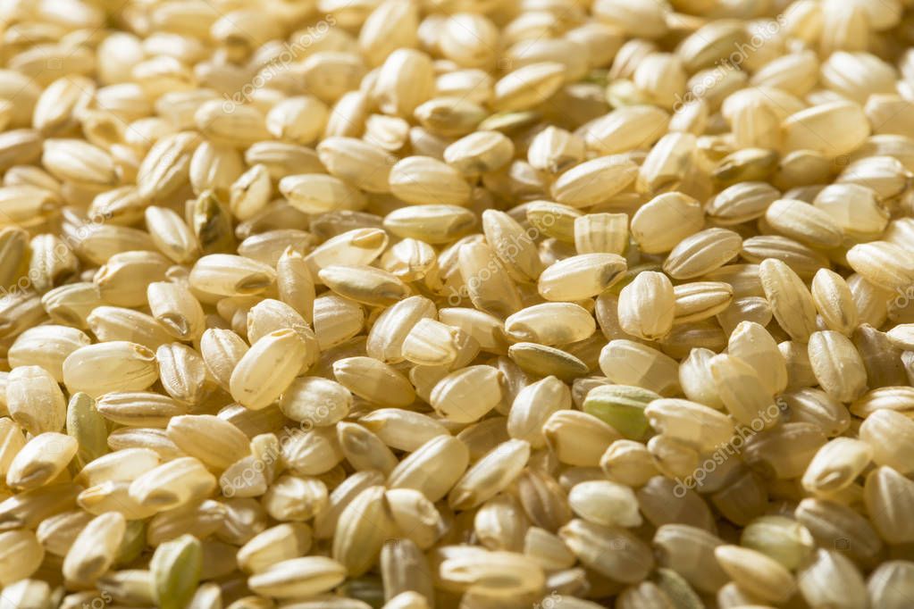 Arroz marrón de grano corto orgánico crudo 2024