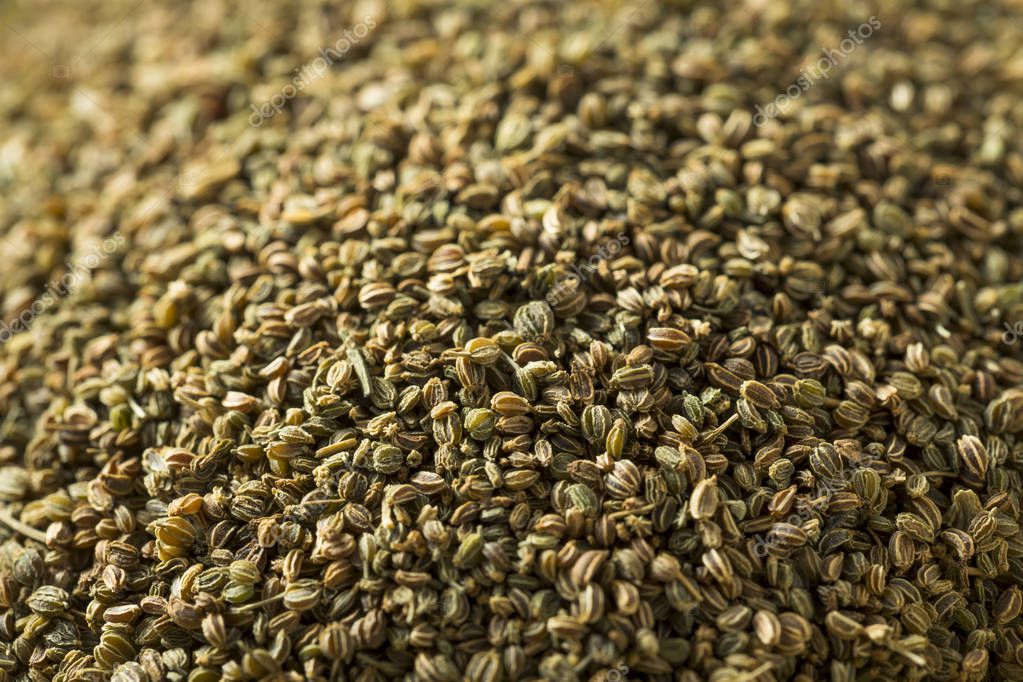 Semillas de apio ecológicas secas saludables 2024