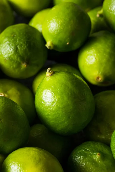 302 Key limes Stock Photos, Images | Download Key limes Pictures on ...