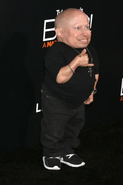 Verne troyer Stock Photos, Royalty Free Verne troyer Images | Depositphotos