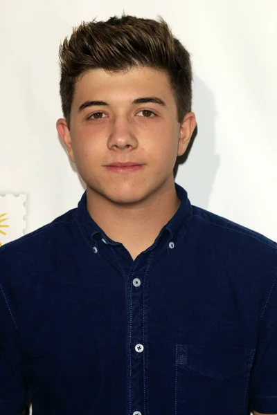 ᐈ Bradley steven perry stock pics, Royalty Free recent bradley steven ...