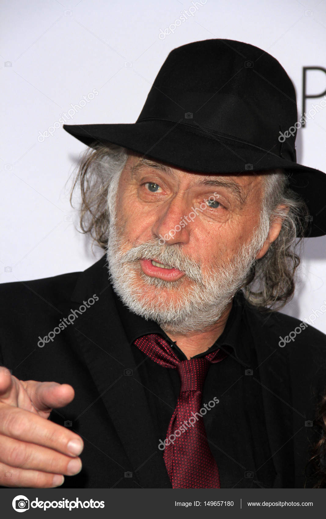 Rade Serbedzija Actor