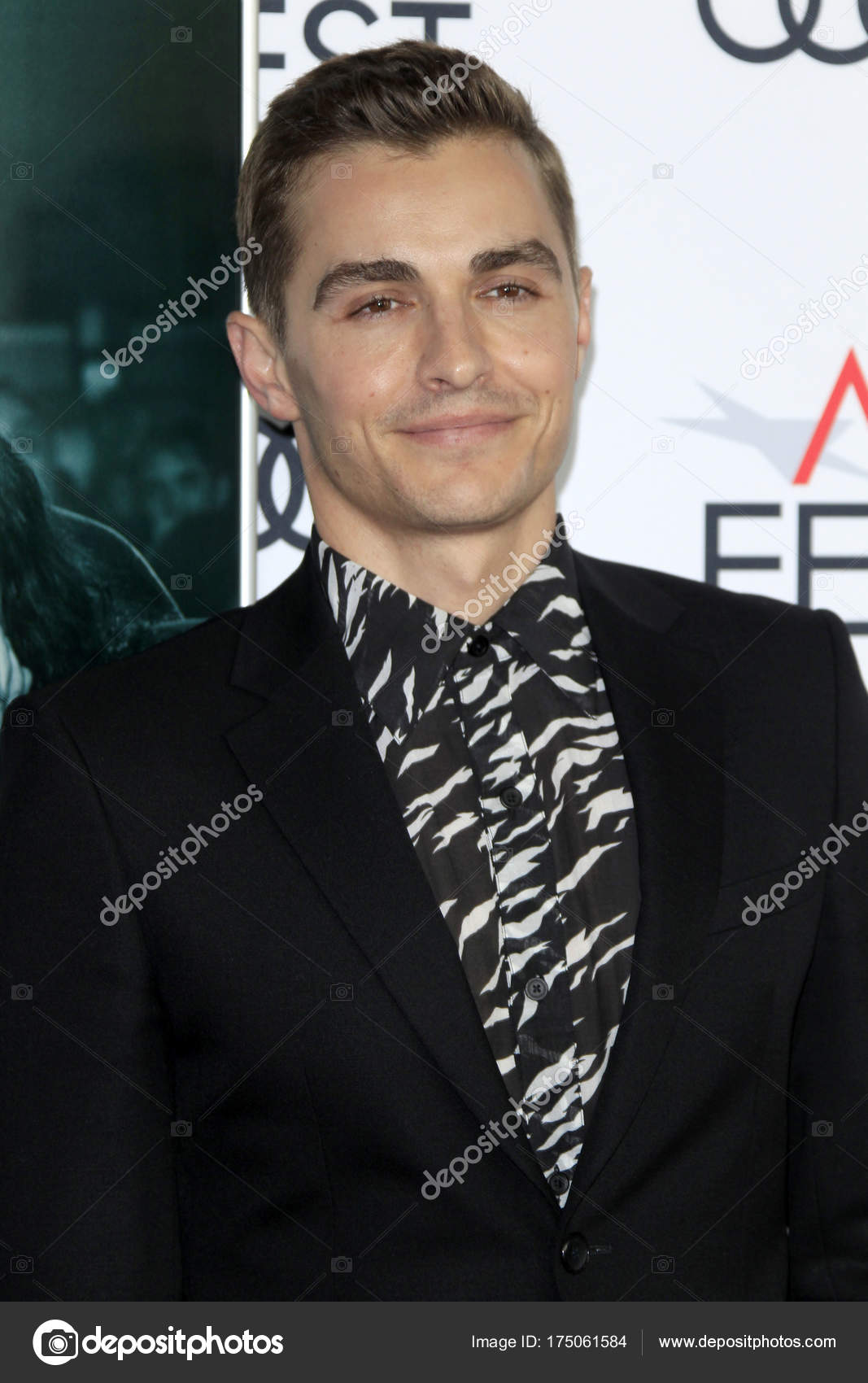 Actor Dave Franco Afi Fest 2017 Disaster Artist Screening Tcl — Stock ...