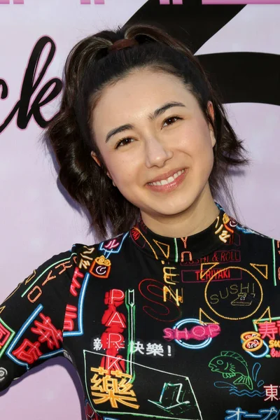 Chinese Television Variety Show Host Actor Qian Feng Arrives Airport ...