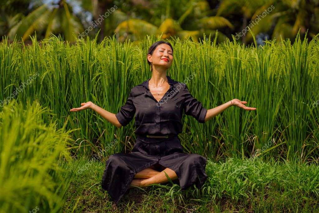 yoga al aire libre y meditación en el campo de arroz: atractiva y feliz ...