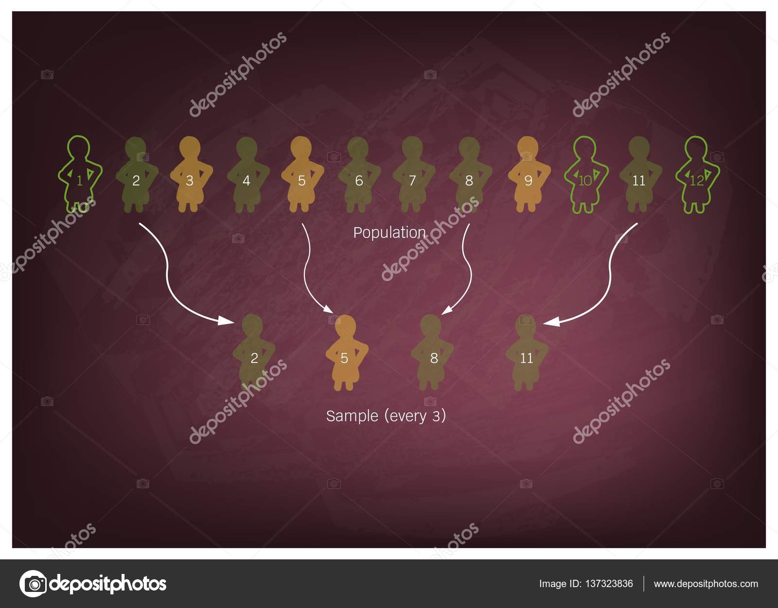Research Process Sampling from A Target Population Stock Vector Image ...