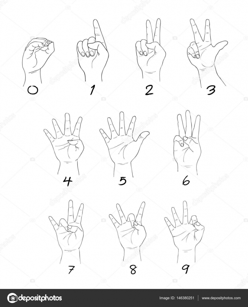 Set of Sketch Human Hand Sign 0 to 9 Stock Vector Image by ©Iamnee ...