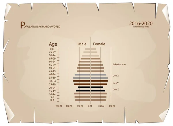 Population Demography Population Pyramids Chart Age Structure Graph Baby Boomers Stock Vector ...