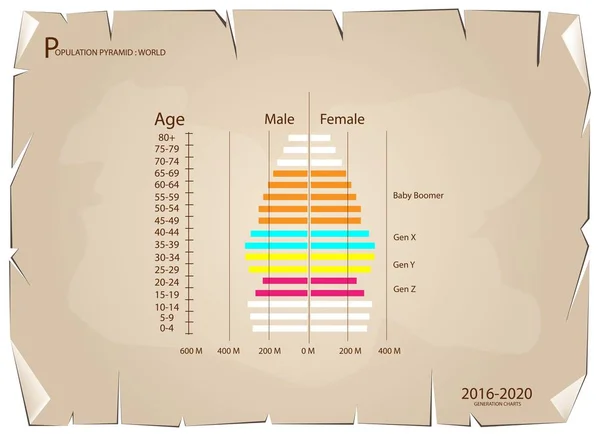 Population Demography Population Pyramids Chart Age Structure Graph Baby Boomers Stock Vector ...