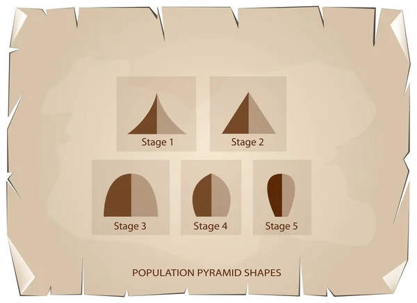 Different Types of Population Pyramids on Chalkboard Background — Stock ...